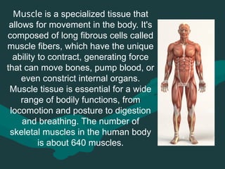 Muscular-System_group3-anatomy-ppt (1).pptx