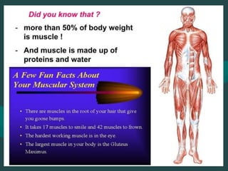Muscular-System_group3-anatomy-ppt (1).pptx