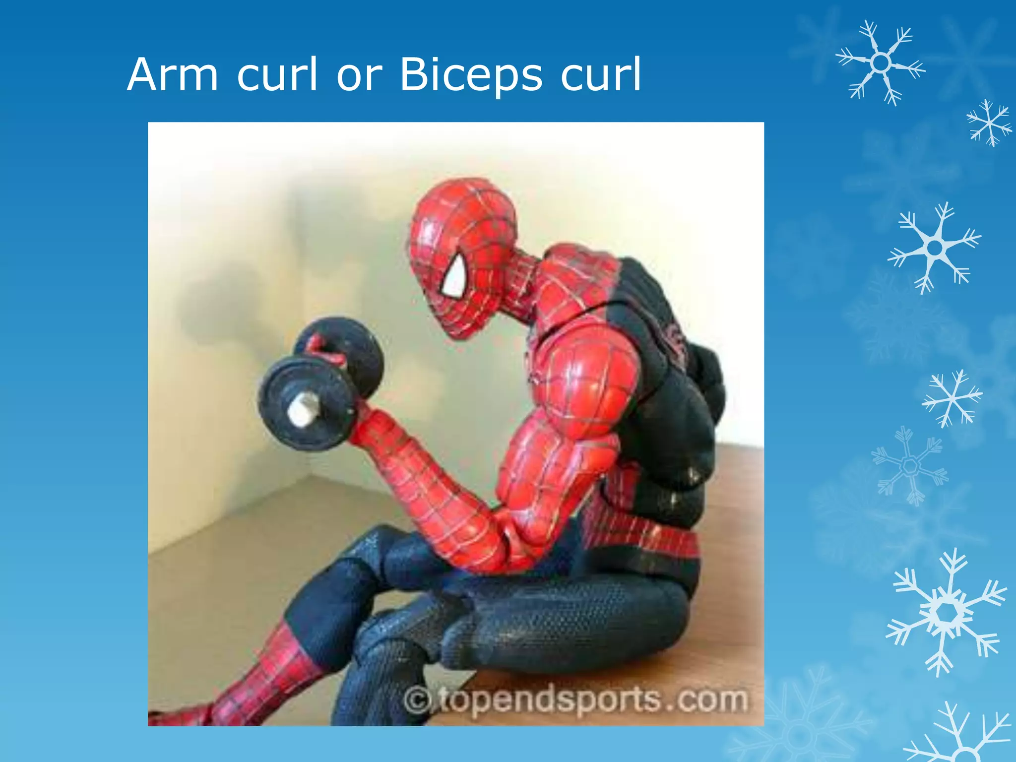 Muscular analysis completed tables | PPTX