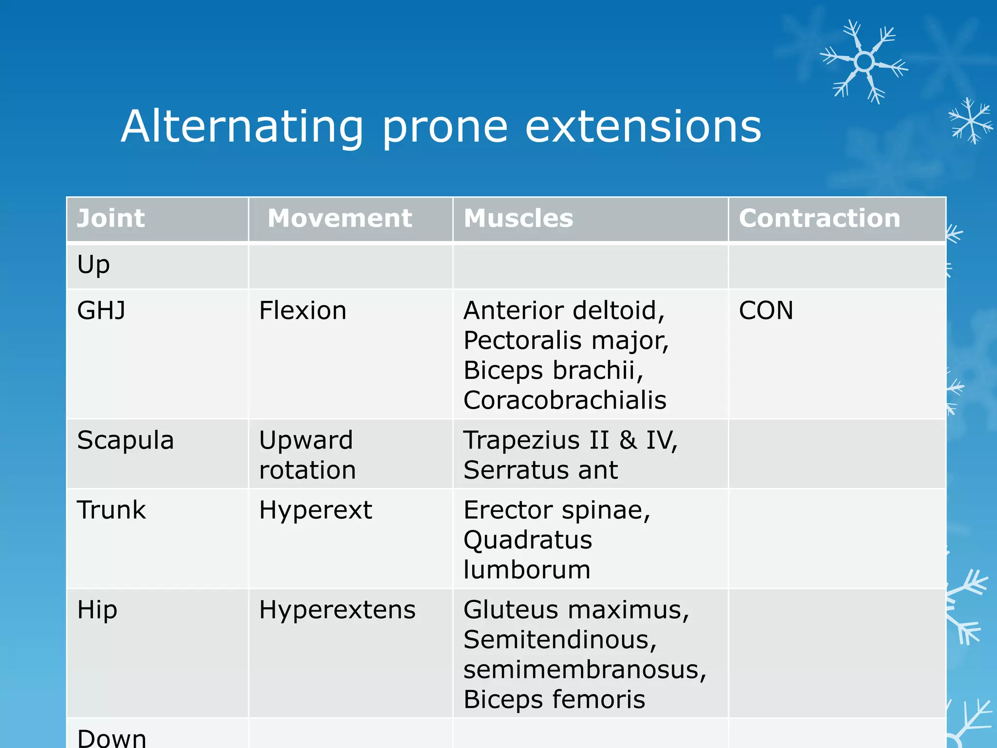 Muscular analysis completed tables | PPTX
