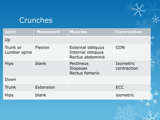 Muscular analysis completed tables | PPTX