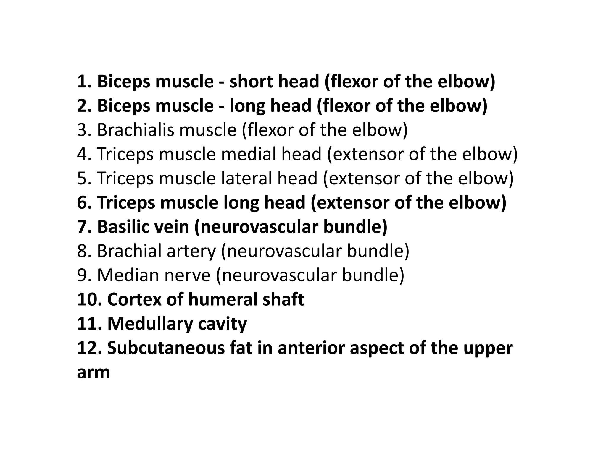 Muscular anatomy of upper limb, MRI Anatomy | PDF