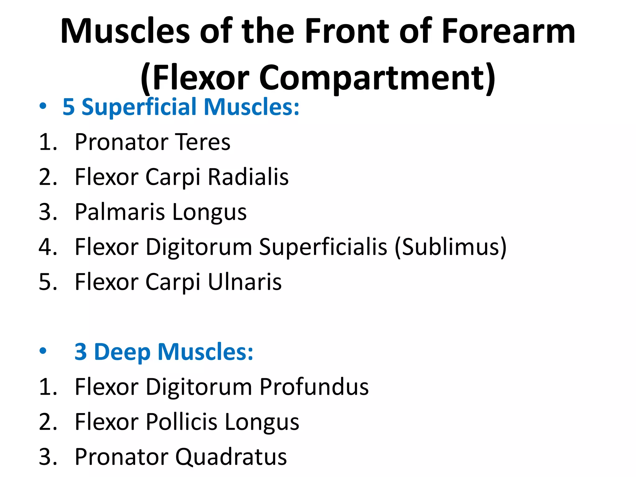 Muscular anatomy of upper limb, MRI Anatomy | PDF