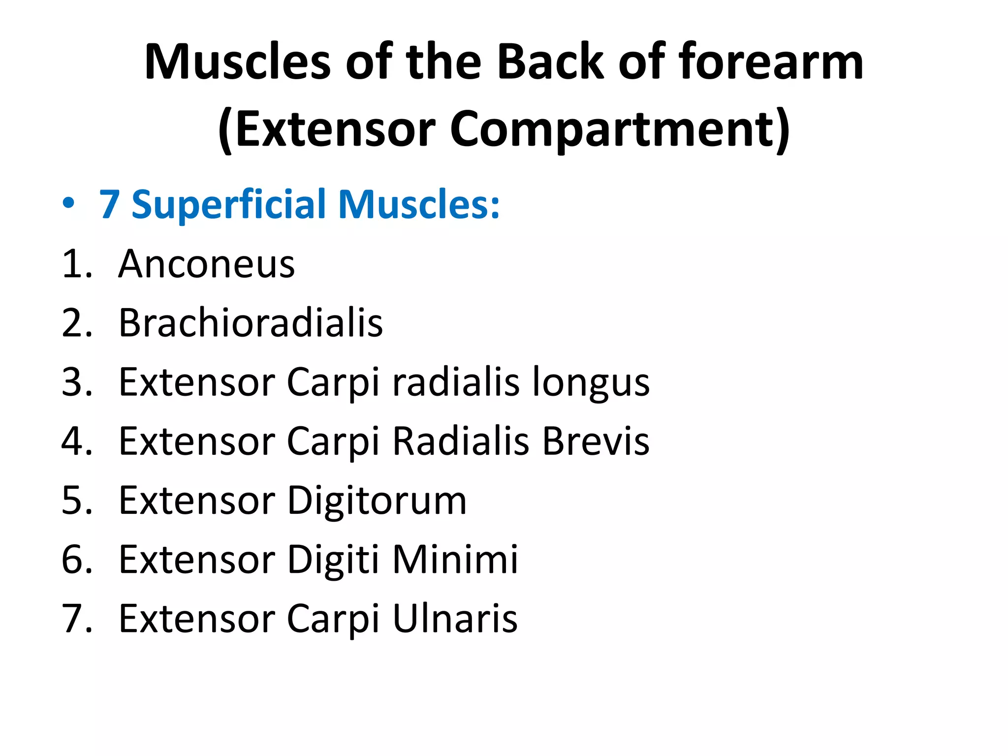 Muscular anatomy of upper limb, MRI Anatomy | PDF