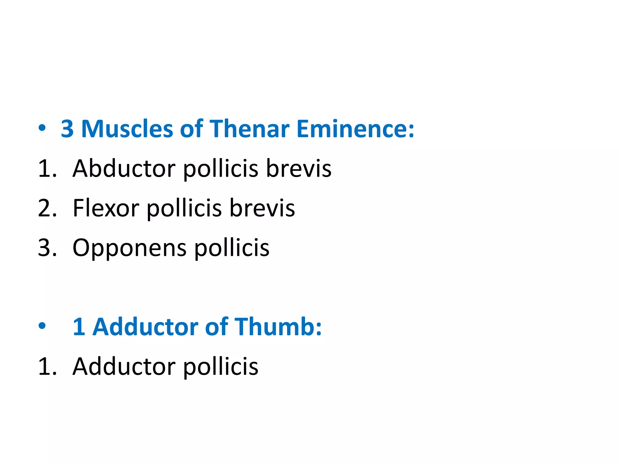 Muscular anatomy of upper limb, MRI Anatomy | PDF