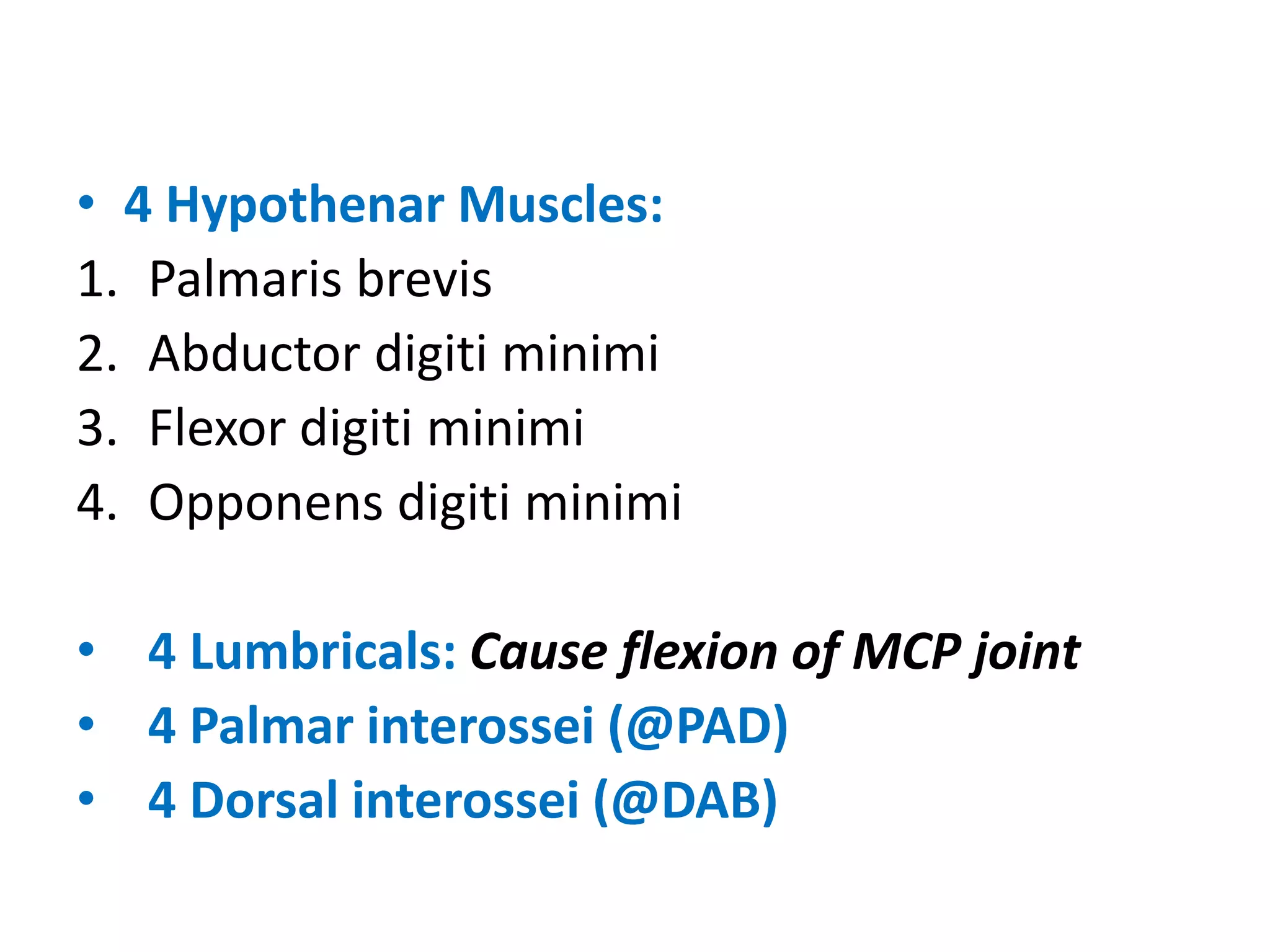 Muscular anatomy of upper limb, MRI Anatomy | PDF