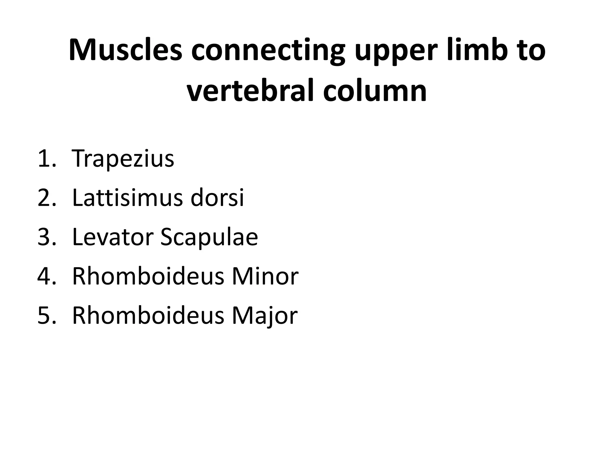 Muscular anatomy of upper limb, MRI Anatomy | PDF