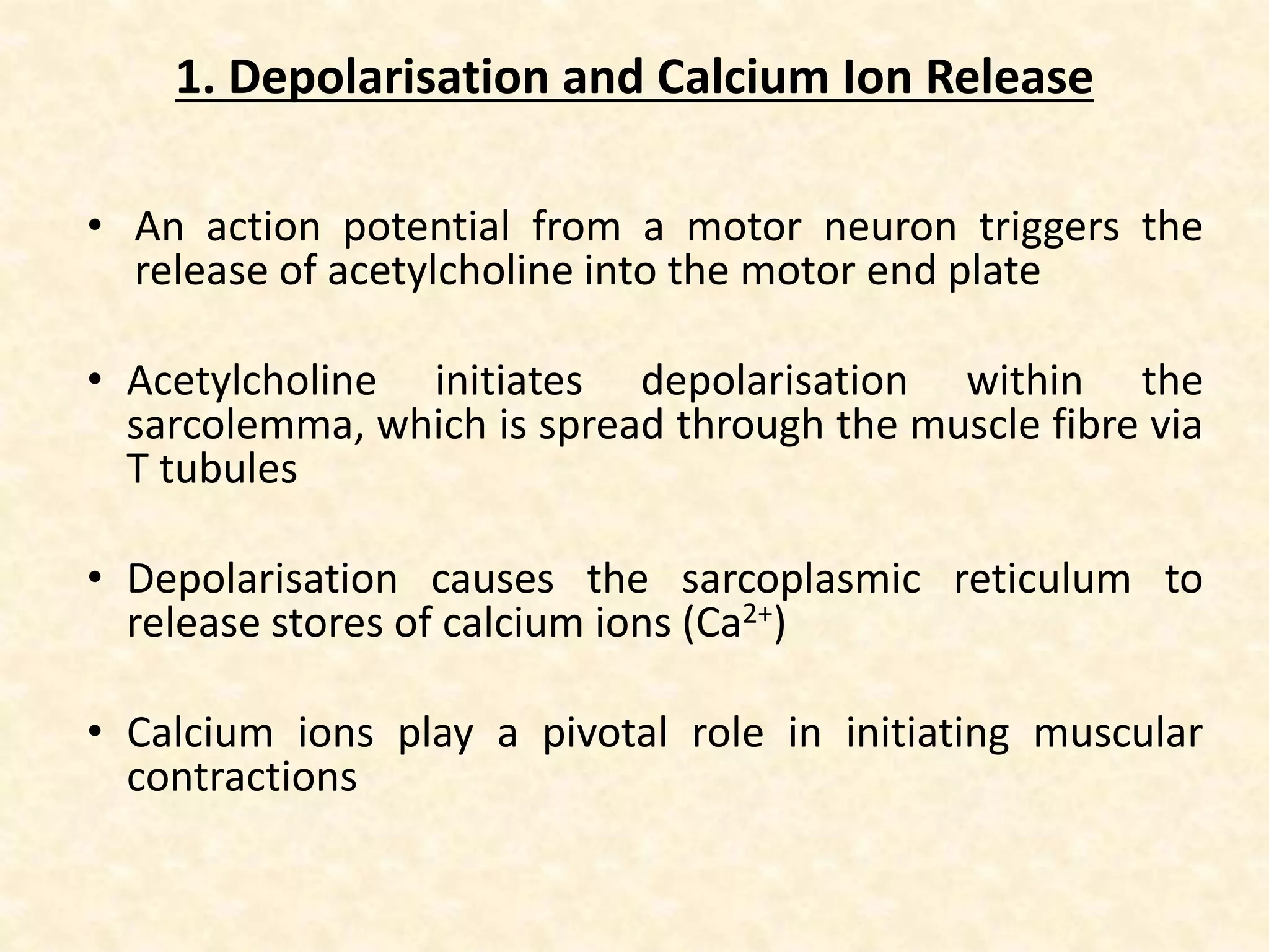 Muscular contraction | PPTX