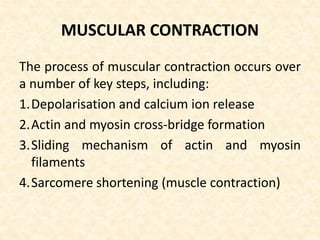 Muscular contraction | PPTX