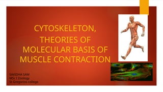 muscular contraction and cytoskeleton pptx | PPTX