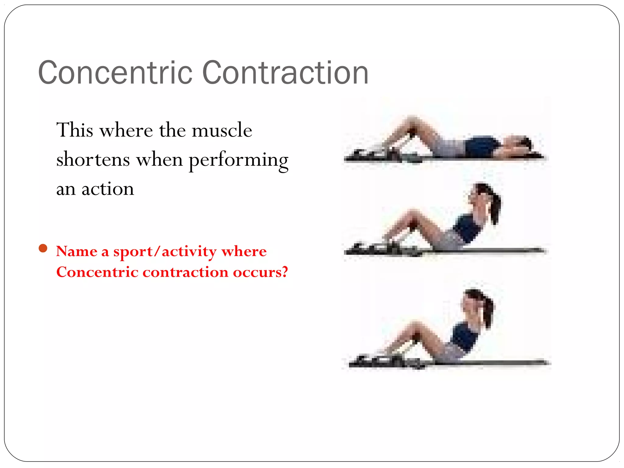 Muscular contraction and muscle types | PPT