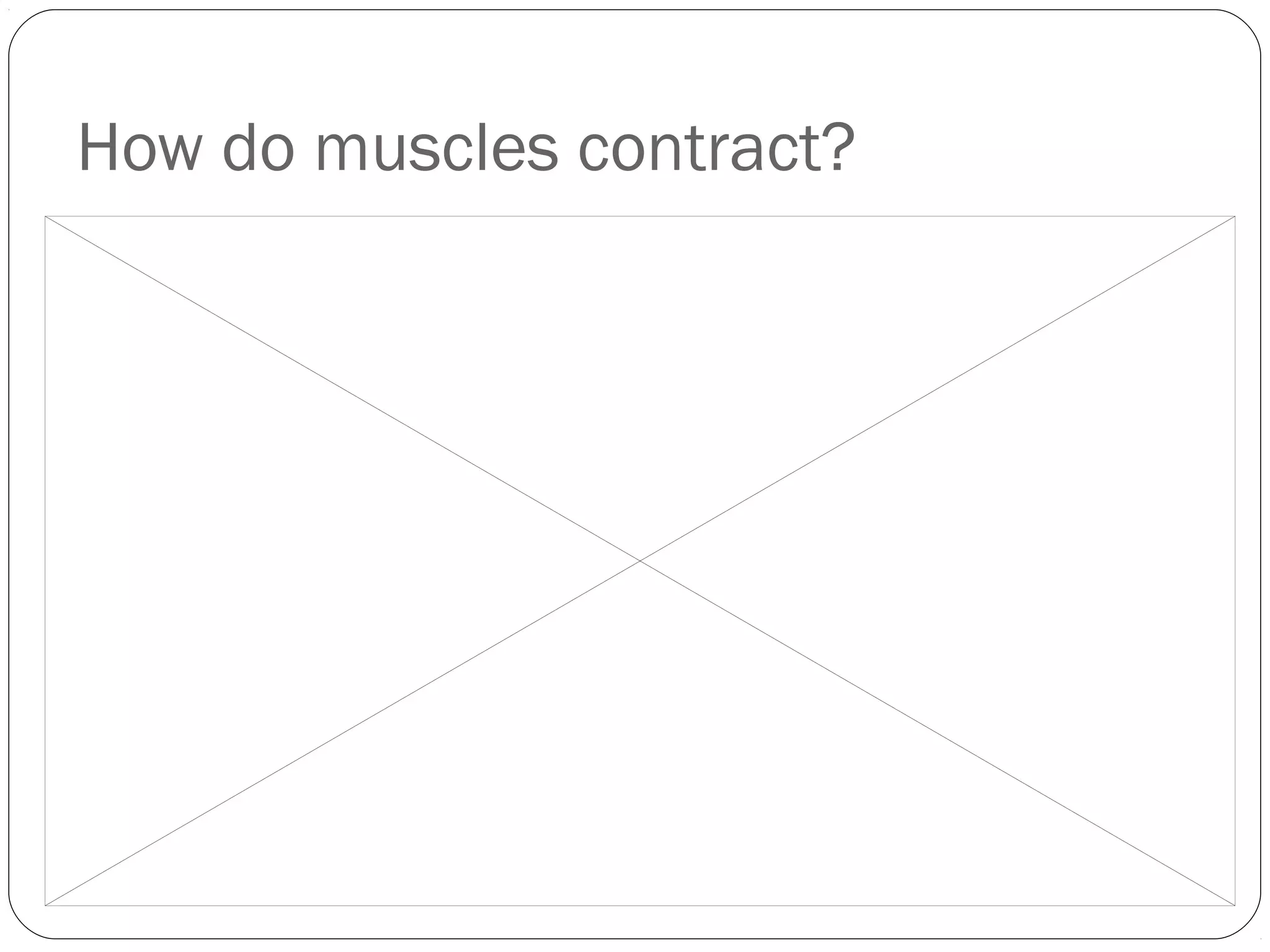 Muscular contraction and muscle types | PPT
