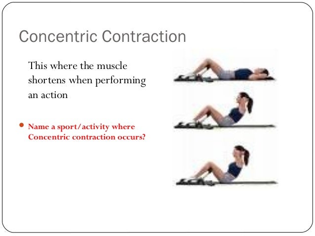 Muscular contraction and muscle types