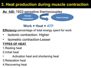 muscular contraction mbbs and other science. Pptx | PPTX