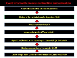 muscular contraction mbbs and other science. Pptx | PPT