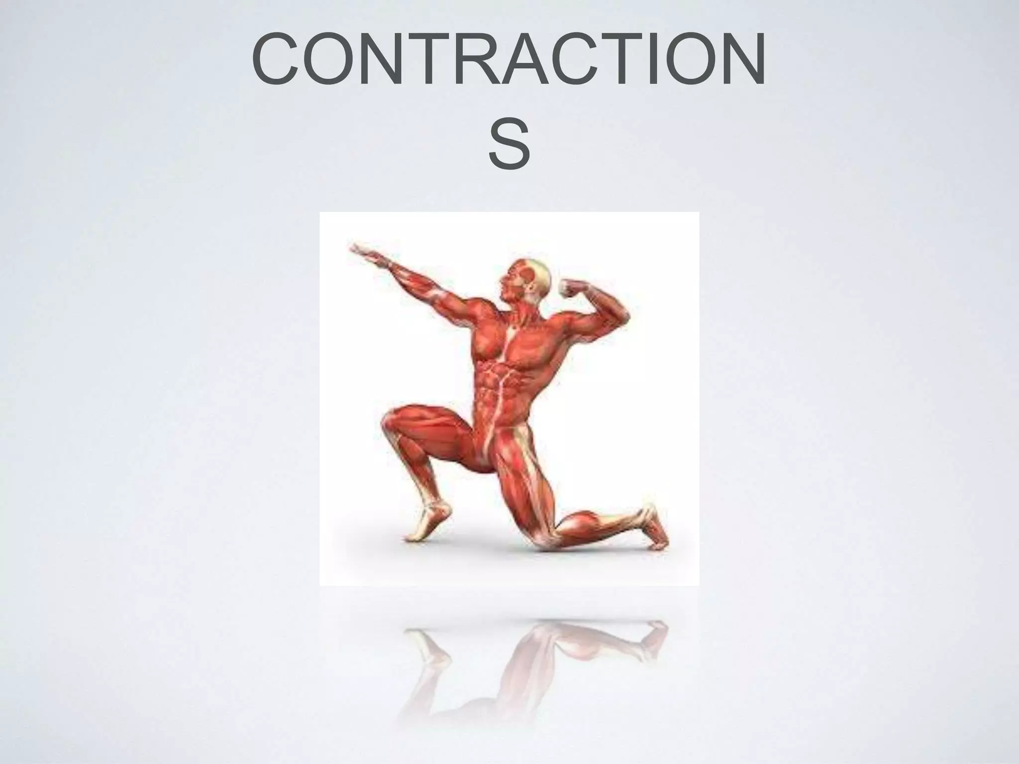 Muscular contractions | PPTX