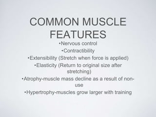Muscular contractions | PPTX