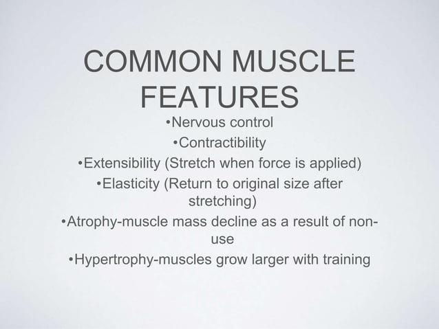Muscular contractions | PPTX | Physical Therapy | Wellness
