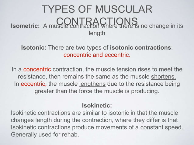 Muscular contractions | PPTX | Physical Therapy | Wellness
