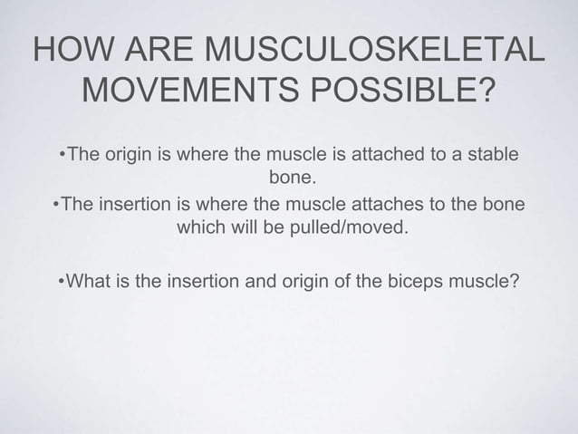 Muscular contractions | PPTX | Physical Therapy | Wellness