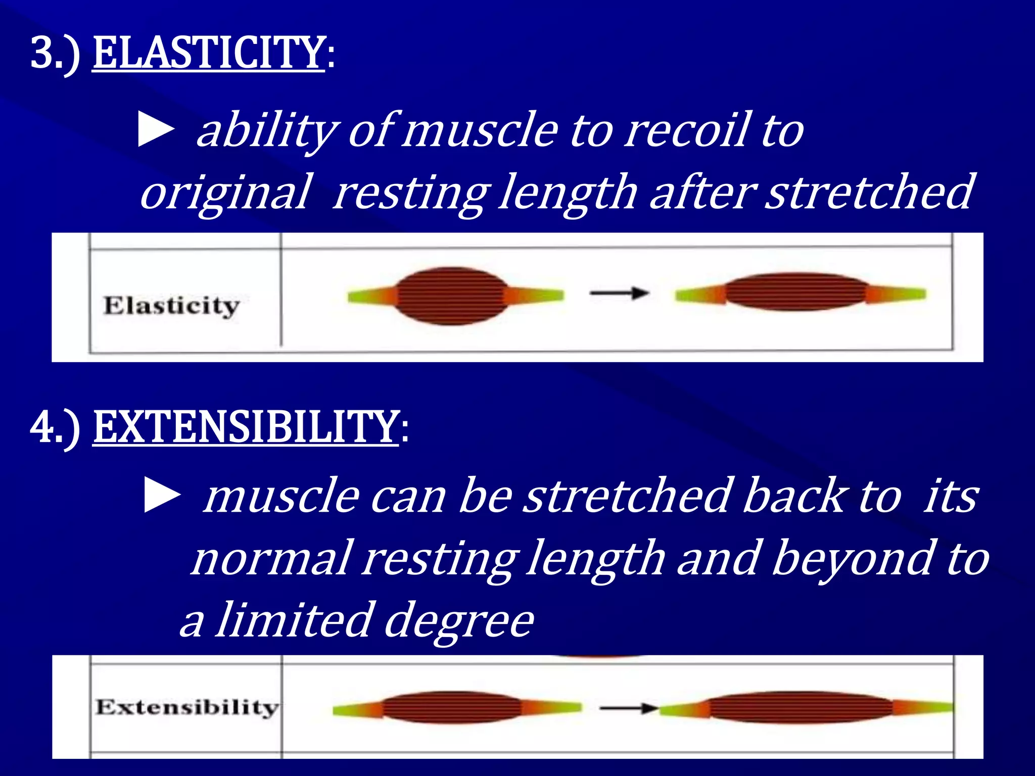 Muscular control of movement | PPTX