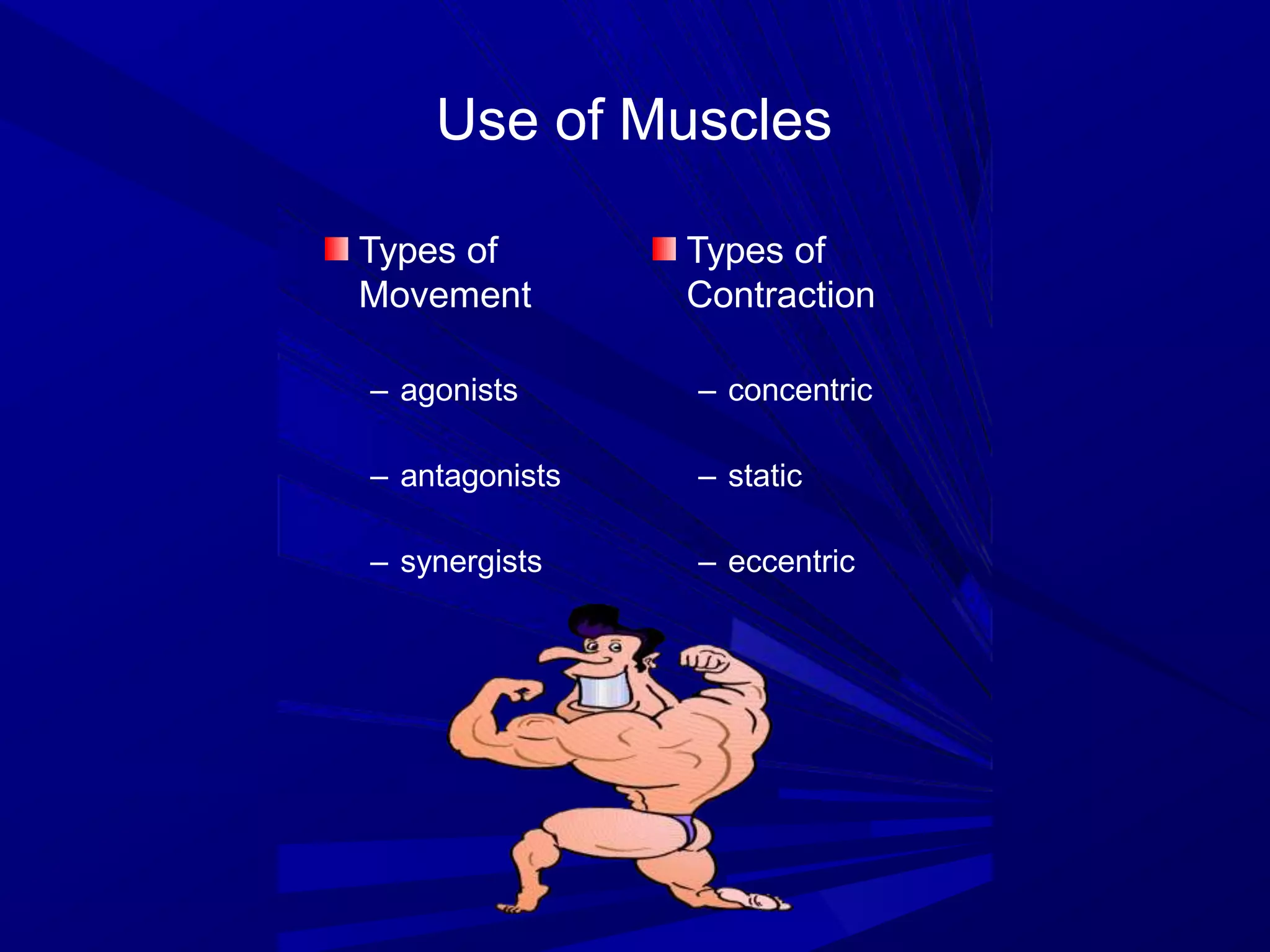 Muscular control of movement | PPTX
