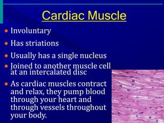 Muscular control of movement | PPTX