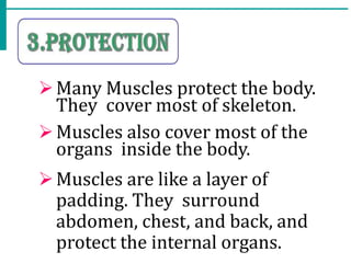 Muscular control of movement | PPTX