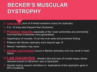 Muscular dystrophies | PPT