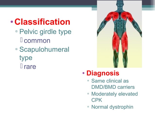 Muscular dystrophy | PPT | Bone and Joint Conditions | Diseases and ...
