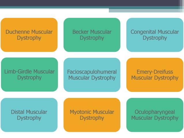 Muscular dystrophy | PPT | Bone and Joint Conditions | Diseases and ...