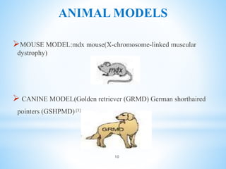 Muscular dystrophy | PPTX
