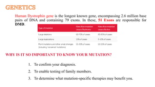 Duchenne Muscular Dystrophy or DMD .pptx