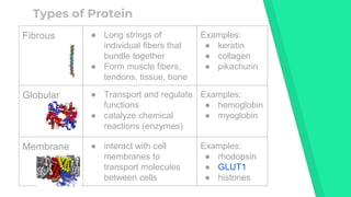Muscular Dystrophy - A brief overview of the disease | PPTX
