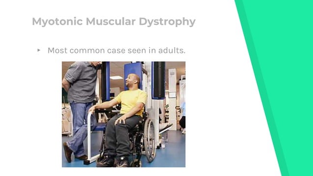 Muscular Dystrophy - A brief overview of the disease | PPT
