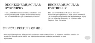 Muscular dystrophy.pptx with clinic features | PPT