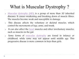 Muscular dystrophy: Group of more than 30 inherited diseases. | PPT