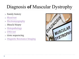 Muscular dystrophy: Group of more than 30 inherited diseases. | PPT