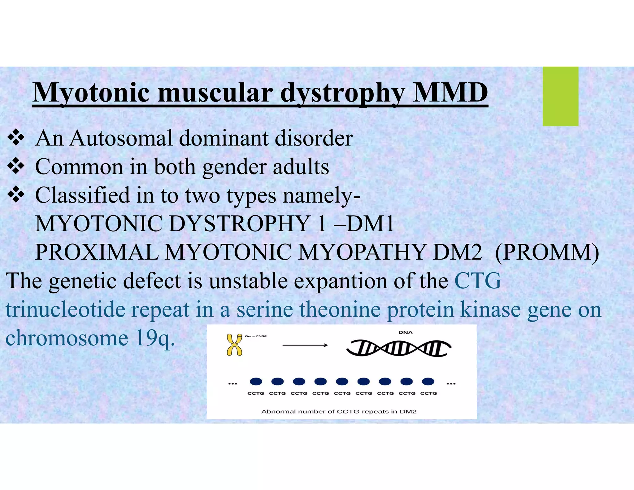 MUSCULAR DYSTROPHY PPT pdf | PDF