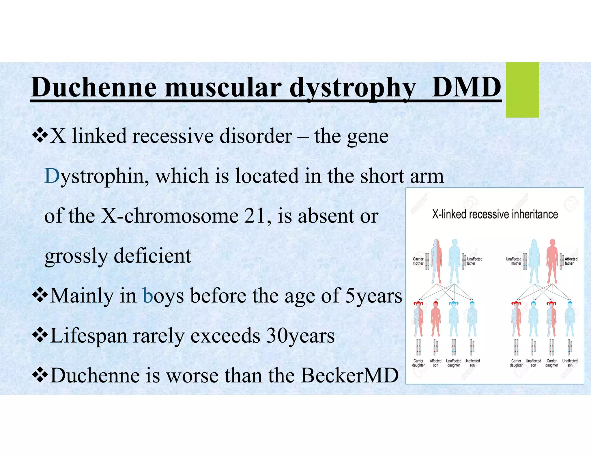 MUSCULAR DYSTROPHY PPT pdf | PDF