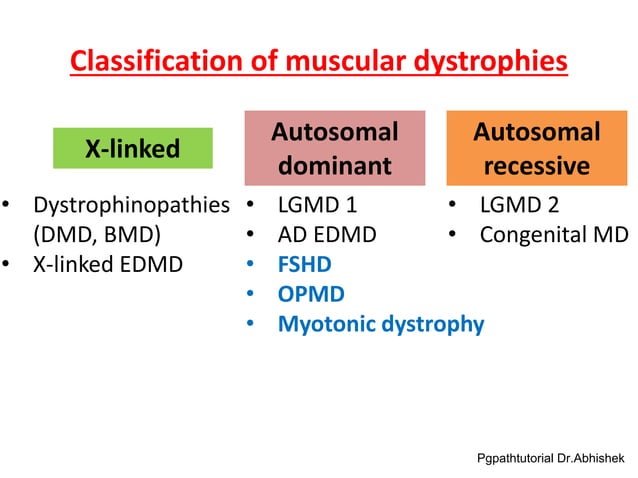 Muscular dystrophy (wecompress.com)_watermark.pdf