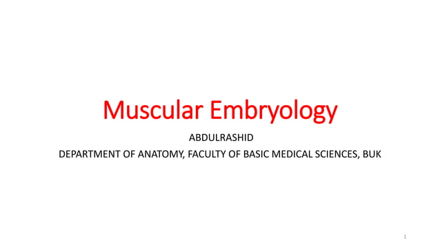 Muscular system embryology for medical students | PPTX