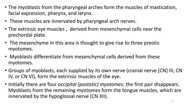 Muscular system embryology for medical students | PPTX