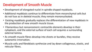 Muscular system embryology for medical students | PPTX