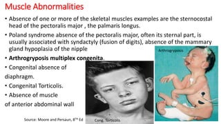 Muscular system embryology for medical students | PPTX