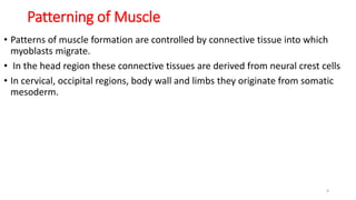 Muscular system embryology for medical students | PPTX