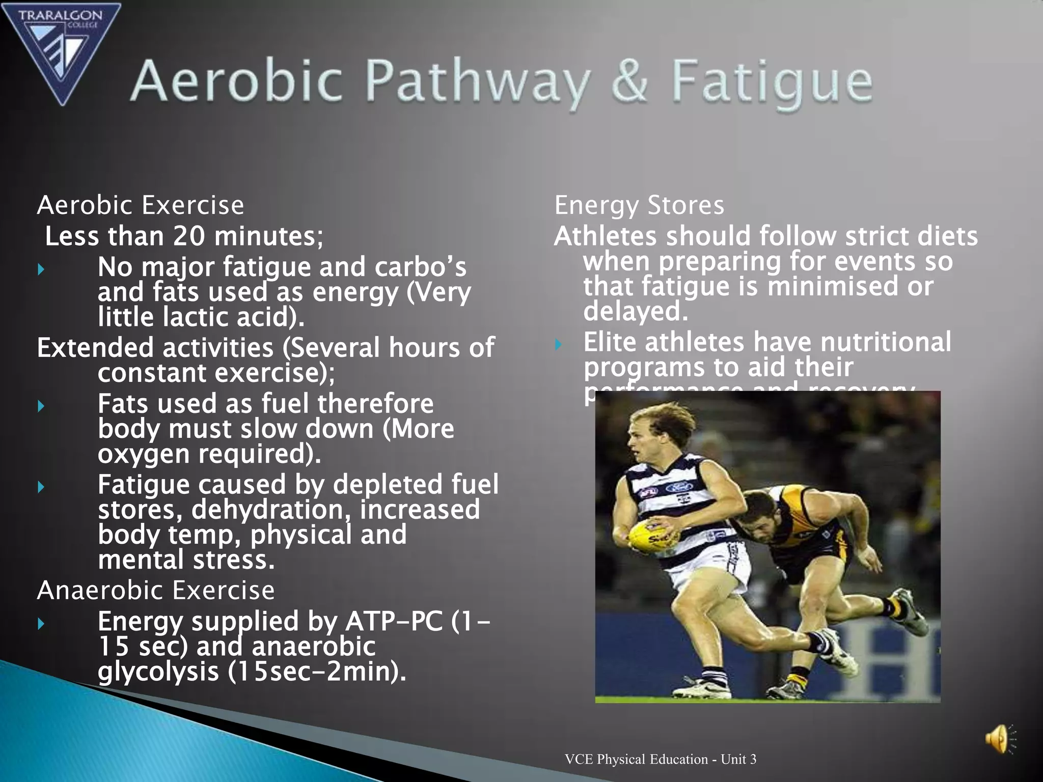 Muscular fatigue mechanisms 2011 | PPTX