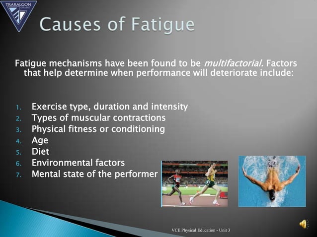 Muscular fatigue mechanisms 2011 | PPT