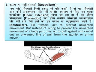 Muscular function by S.N. Singh | PPT