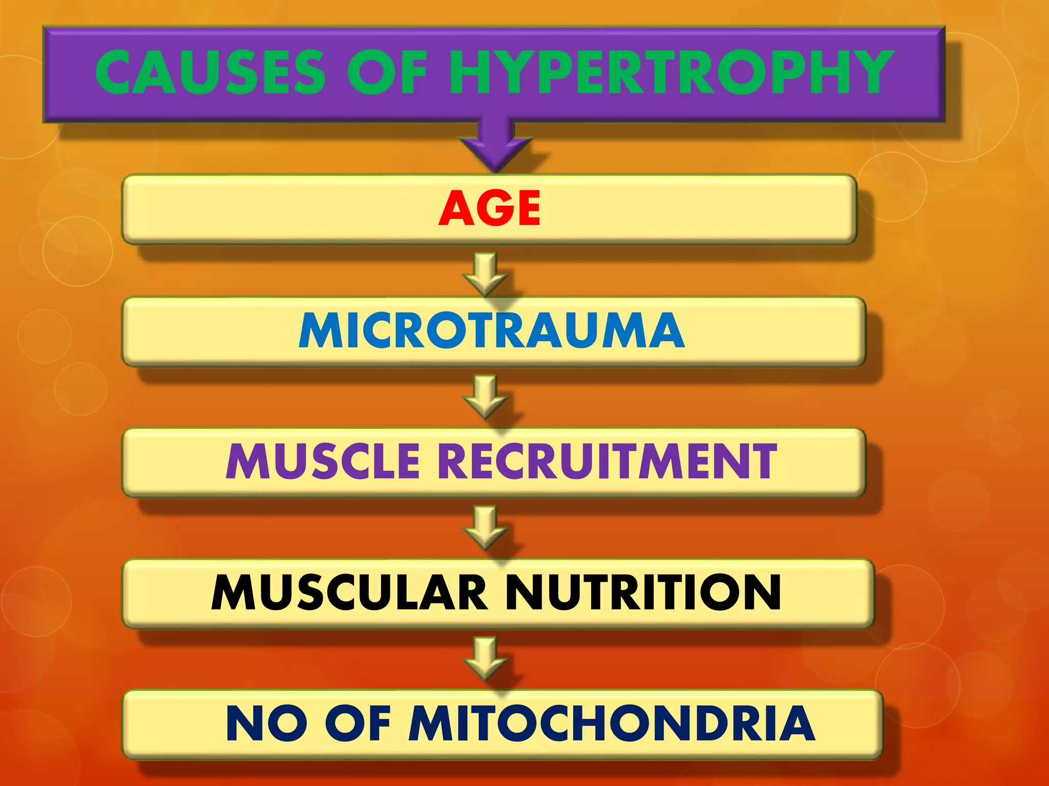 Muscular hypertrophy | PPTX